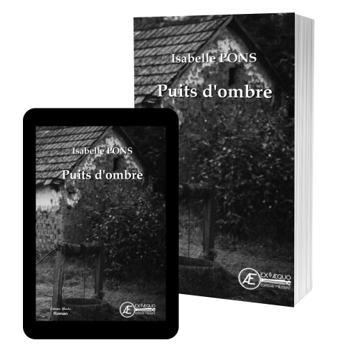 Services de presse, Puits d'ombre par Isabelle Pons, Chroniques ...